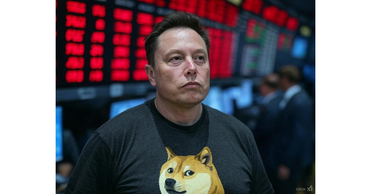 The Gospel According to ‘Harry Bolz’: How Musk Turns Market Fools into ...