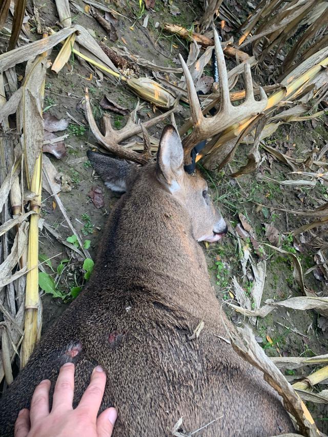 Northland Habitat | Private Land Management Strategies