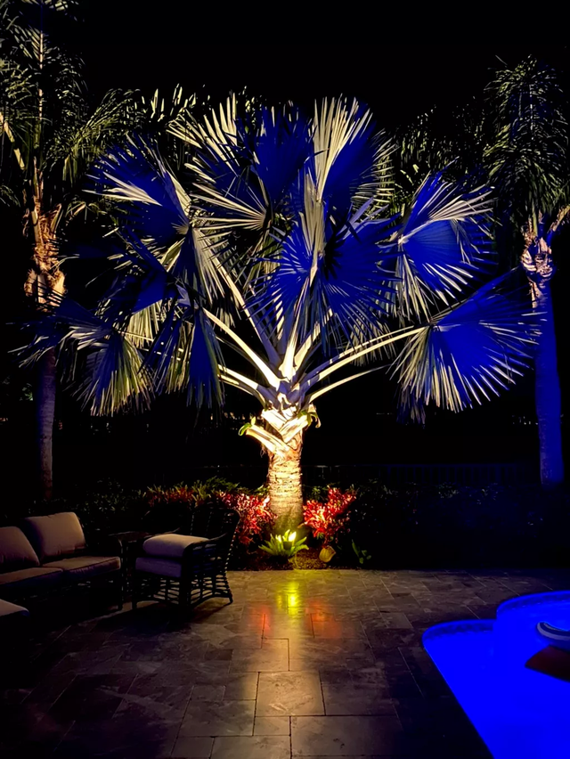 Landscape Lighting South Florida | Sitellight Landscape Lighting