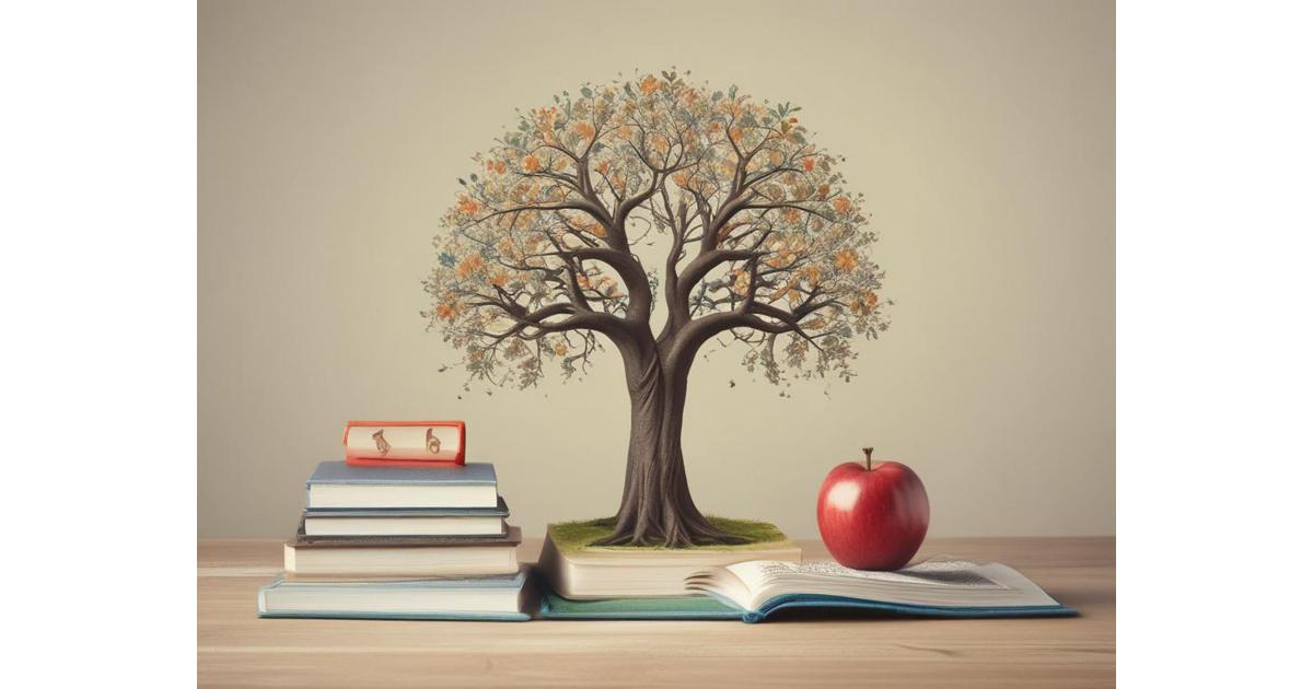 Continuing Education vs. Professional Development