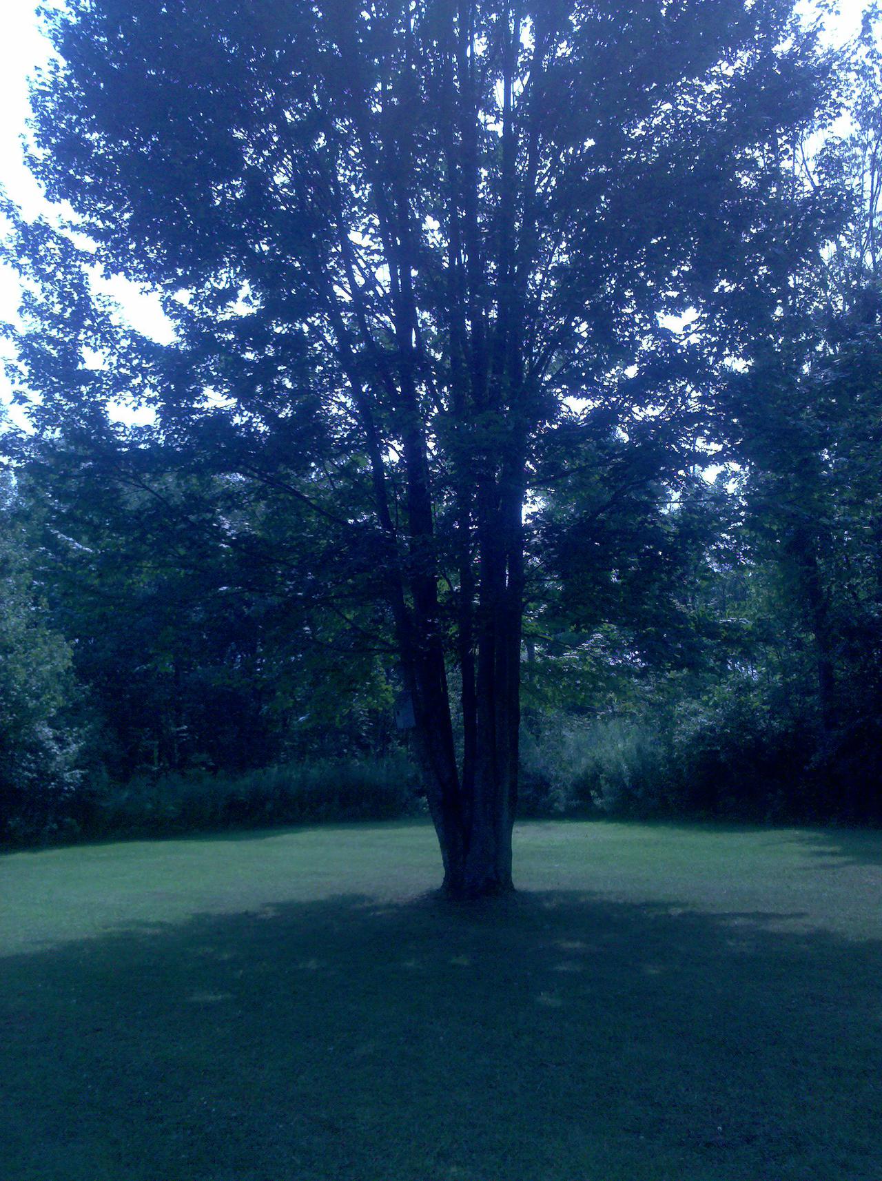 Full Tan Sun Club - Services