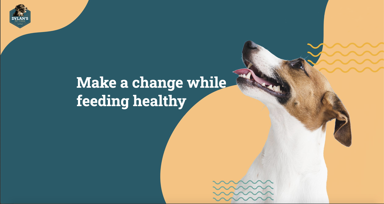 Dylan's Pet Food - The Best Vegan & Gluten Free Dog Food