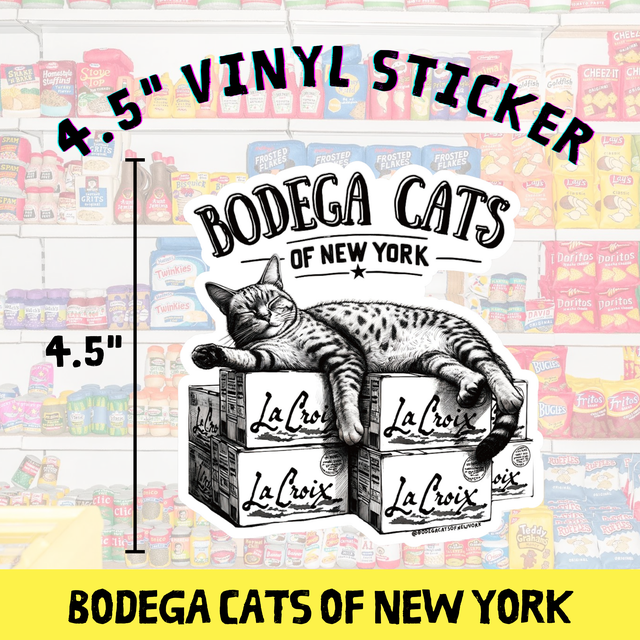 Homepage | Bodega Cats of New York