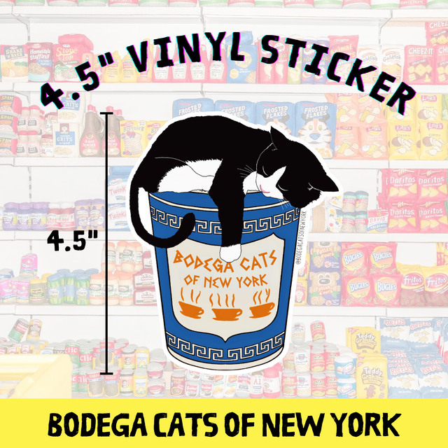 Homepage | Bodega Cats of New York
