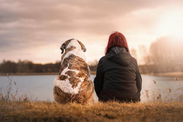 What To Know Before You Google Dog Daycare Near Me what-to-know-before-you-google-dog-daycare-near-me