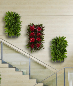 Plantscape Interior | Georgia | Green Wall Systems